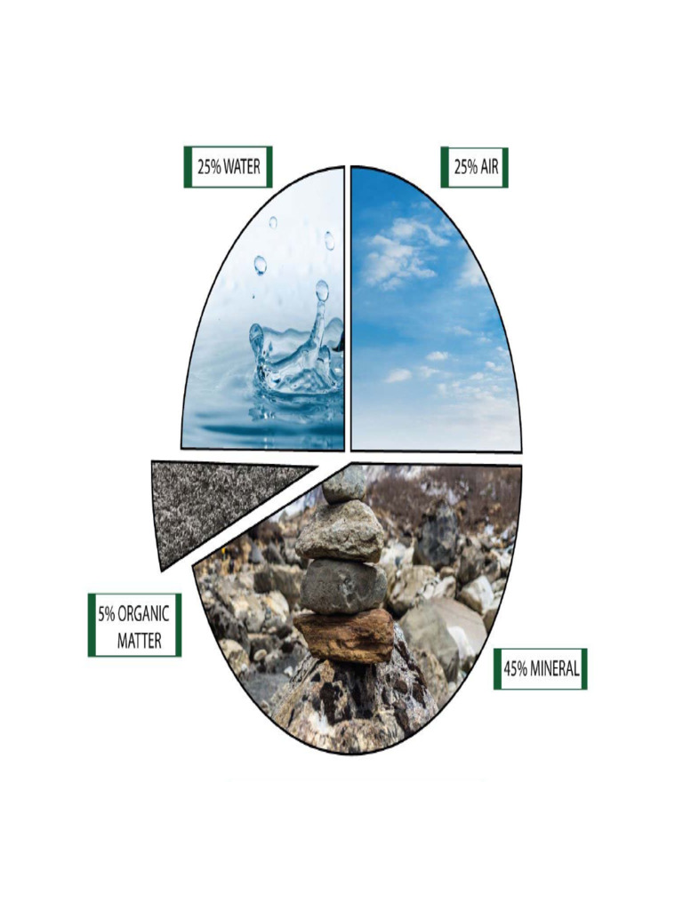 Soil Composition | PDF