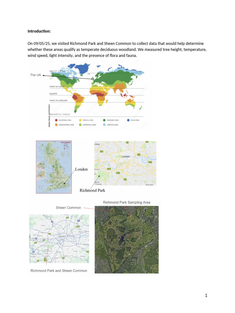 Fieldwork Data Presentation Richmond Park | PDF | Forests | Canopy ...