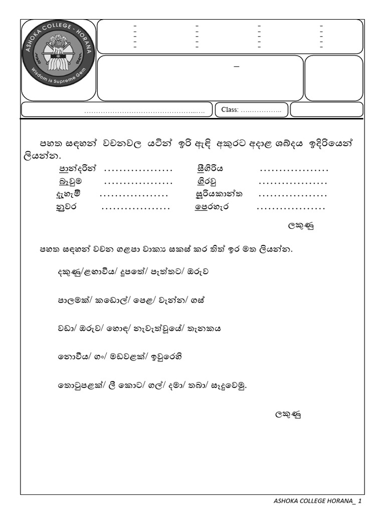 First Term Test 2024 Sinhala | PDF