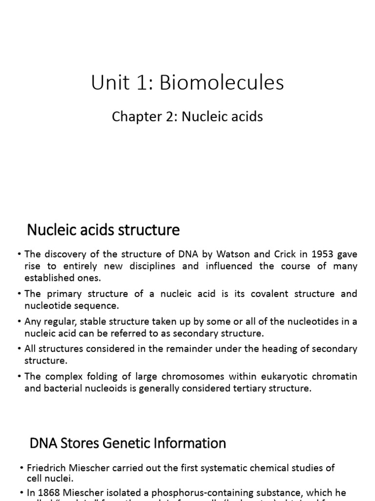 Nucleic Acids Structure and Function | PDF | Dna | Nucleic Acid Double ...