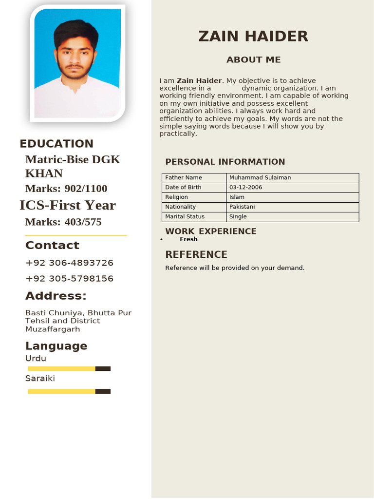 Zain Haider: Personal Profile & CV | PDF