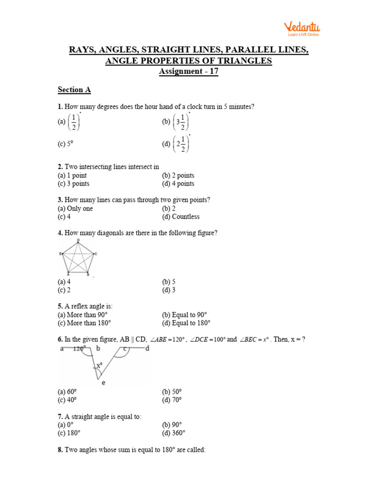 Rays, Angles, Straight Lines, Parallel Lines, Angle Properties of Triangles - Assignment - S17 ...