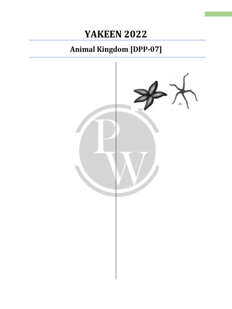 Animal Kingdom - DPP 07 - DPP - 07 - Animal Kingdom - Biology - Yakeen ...