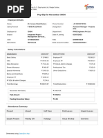 Nov Pay Slip | PDF