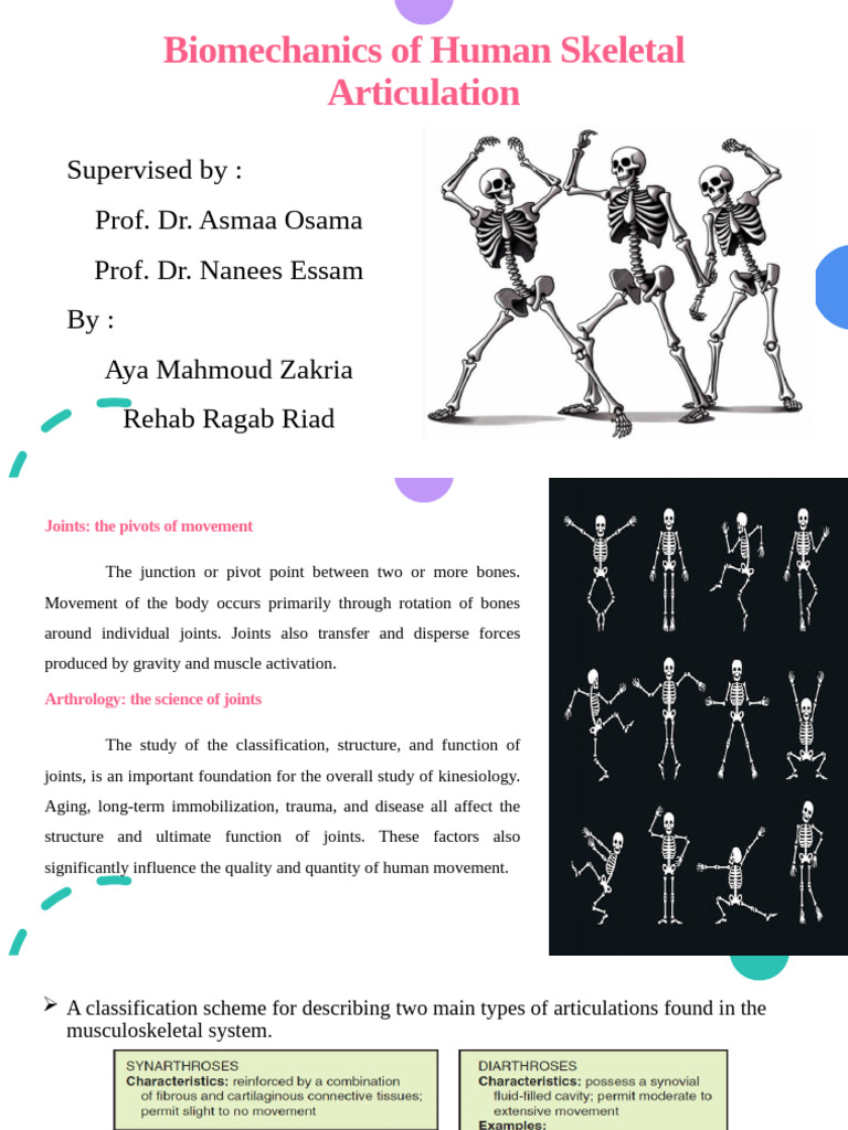 Biomechanics of Human Skeletal Articulation | PDF | Joint | Cartilage