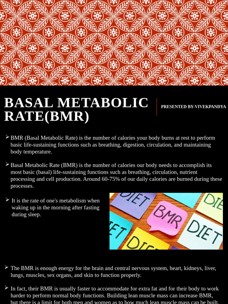 Understanding Basal Metabolic Rate (BMR) | PDF