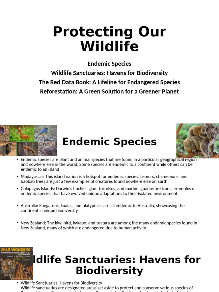 Saving Wildlife Through Conservation Efforts | PDF | Conservation ...