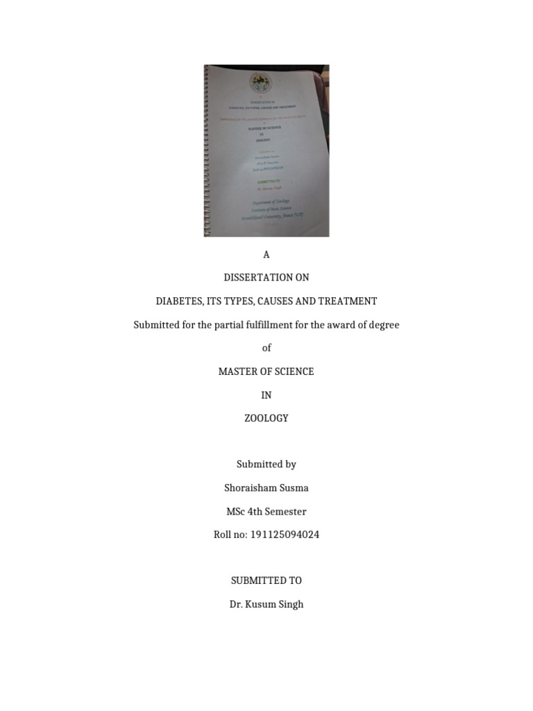 Dissertation Cover Page | PDF