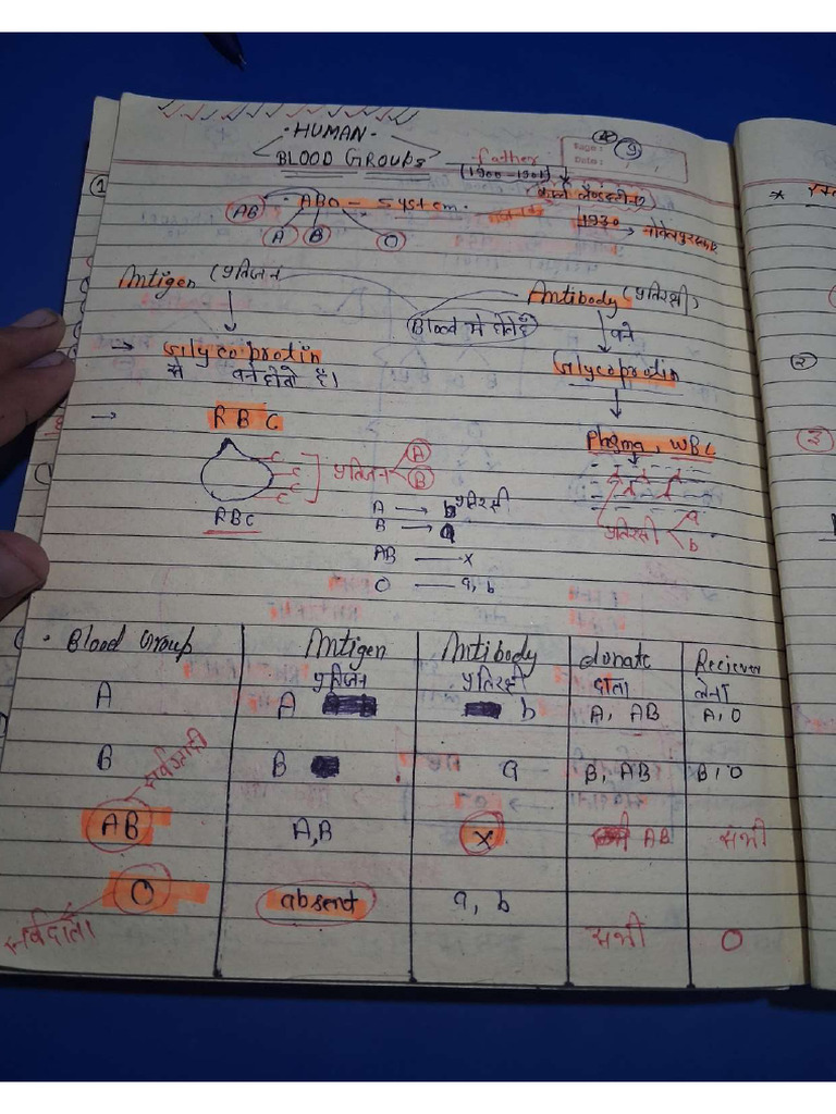 Blood Group | PDF
