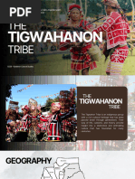 Higaonon Tribe: Culture and Attire | PDF | Agriculture | Rituals