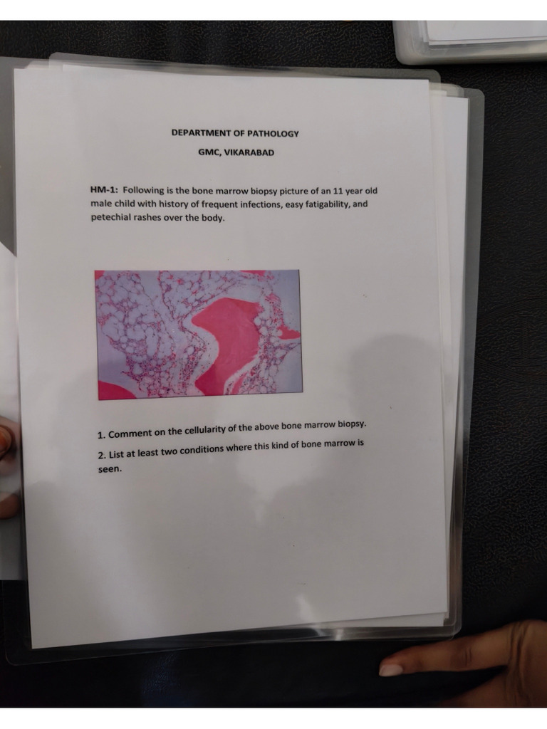 HM Charts Pathology | PDF