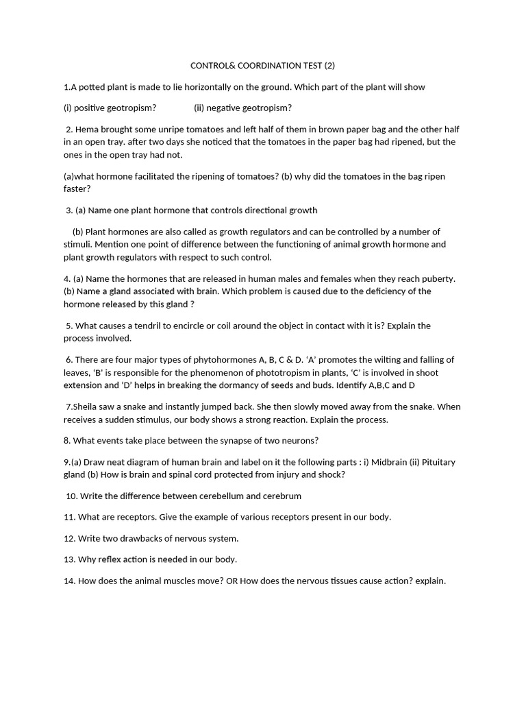 CONTROL & Coordination Test | PDF