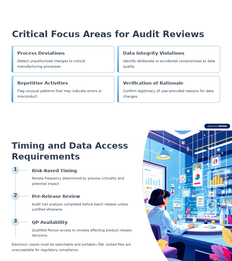 Audit Review Focus Areas and Timing | PDF