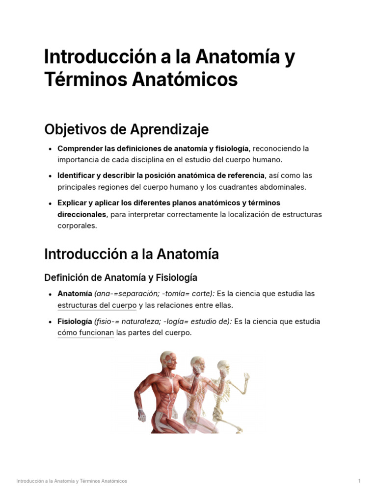 Introducción A La Anatomía y Términos Anatómicos | PDF | Abdomen ...