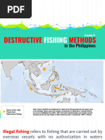 Pakol Fish: Characteristics and Habitat | PDF