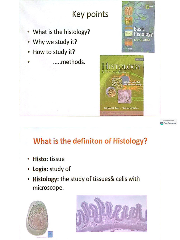 Histology | PDF