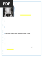Radiografía de Abdomen y Coprostasis | PDF | Sistema urinario ...