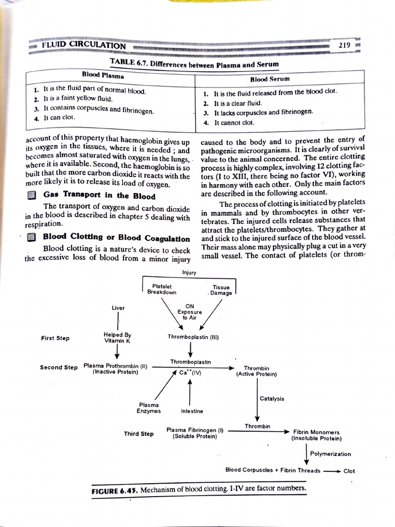 Normal Range for Blood Clotting Tests | PDF | Coagulation | Blood Type