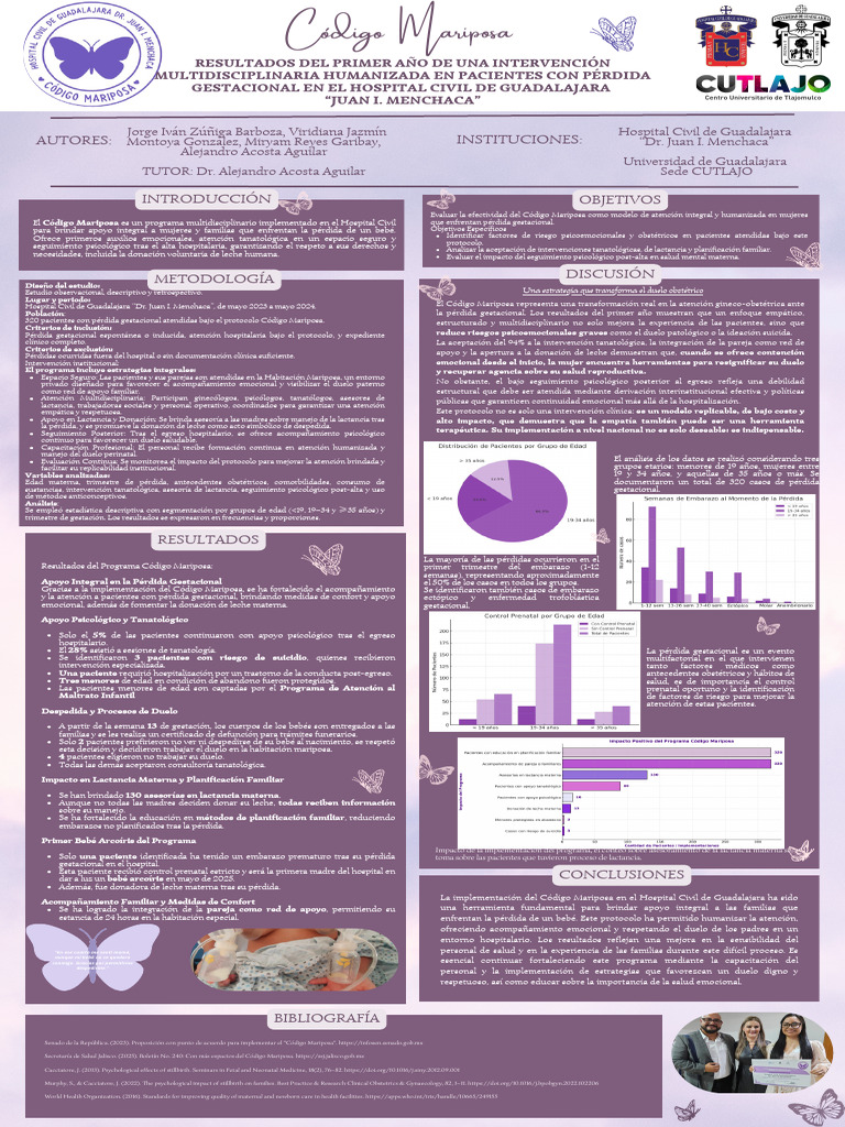 Código Mariposa Protocolo Hospitales Civiles PDF | PDF | Hospital | Amamantamiento