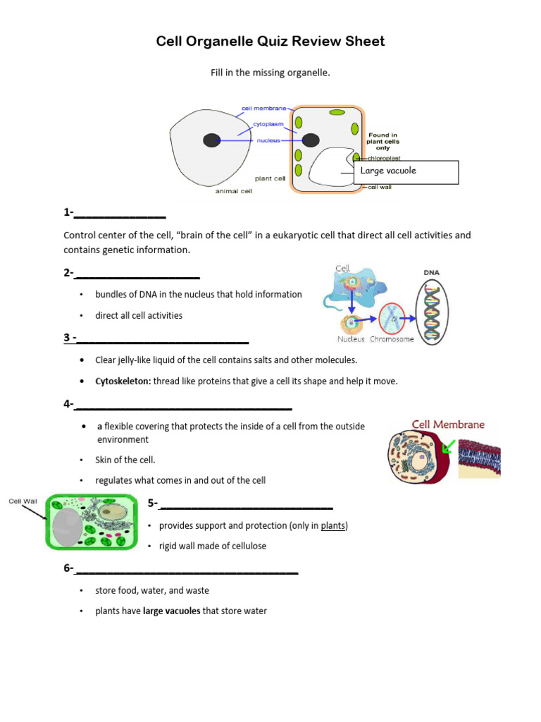 Cell Organelles Quiz Reviewer | PDF