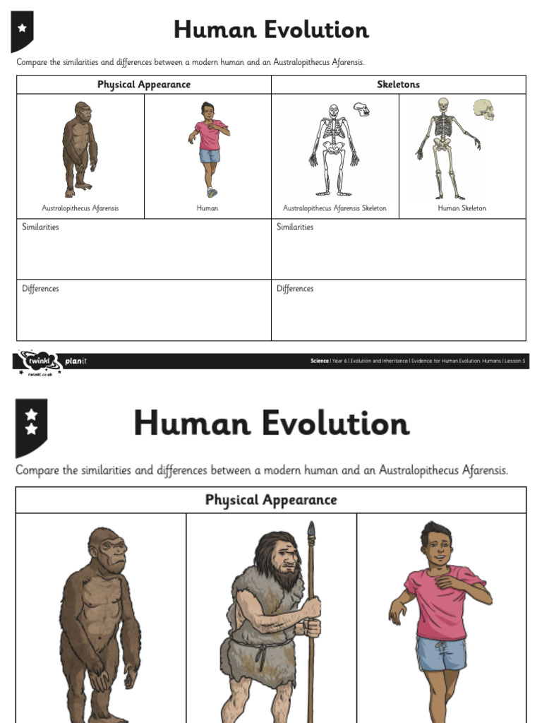 Human Evolution: Hominid Comparisons | PDF | Homo | Human Evolution