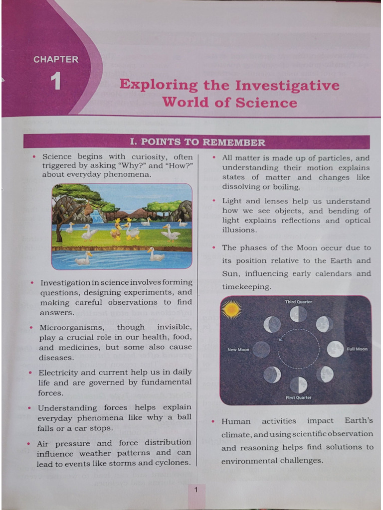 Chapter 1 Class 8 | PDF