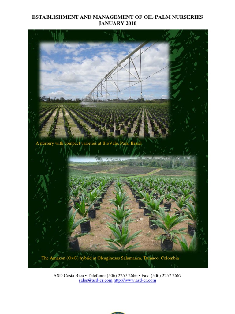 Nursery Guide Pdf Plant Nursery Sowing