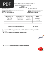 Class 4 EVS Worksheets Overview | PDF