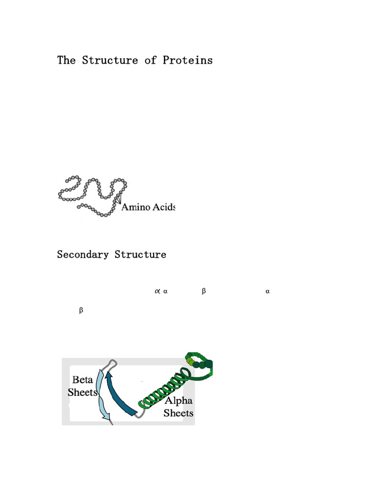 The Structure of Proteins | PDF | Protein Structure | Beta Sheet