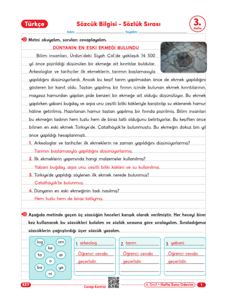 3 Hafta 1 | PDF