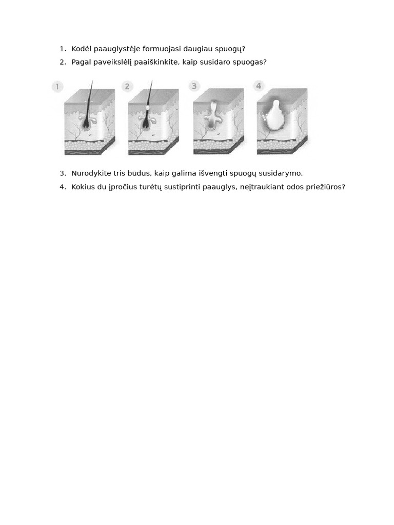 Nd. Oda | PDF