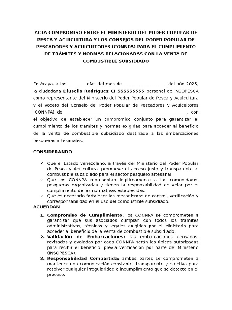 Carta Compromiso | PDF | Gobierno