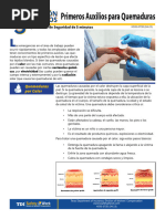 Regla de Wallace para Quemaduras | PDF | Anatomía humana | Anatomía de ...