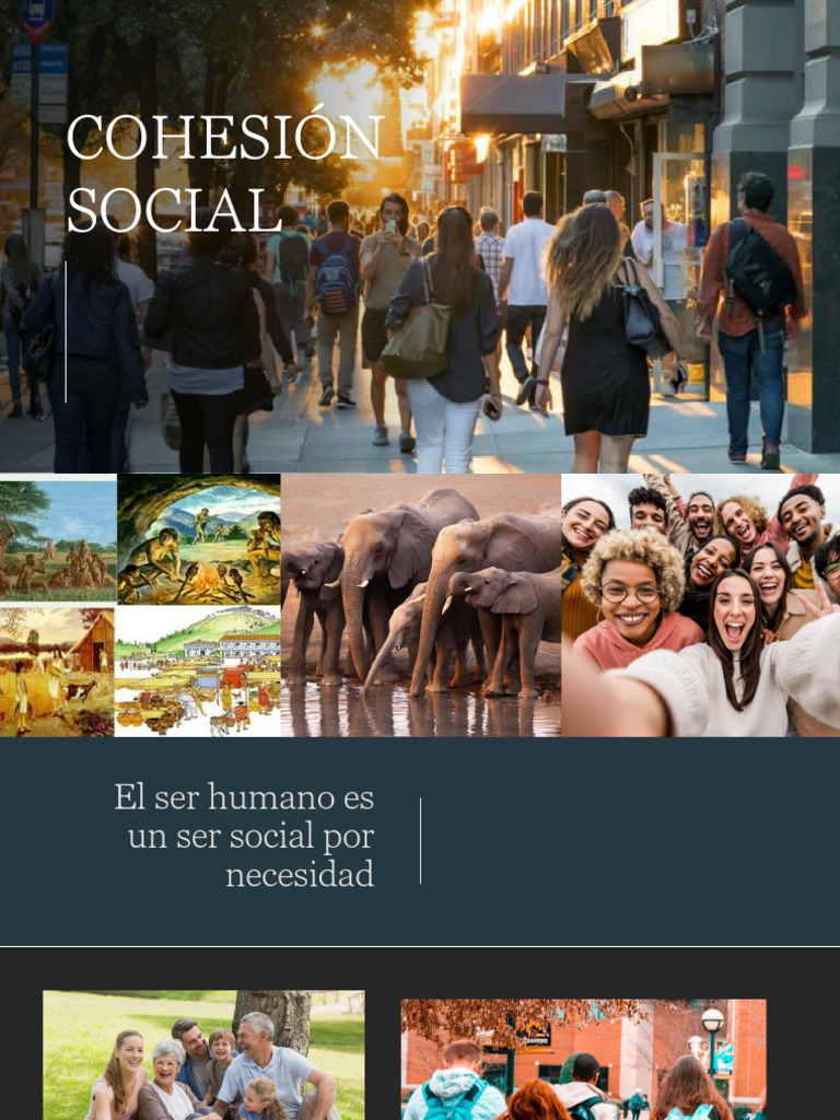 Cohesión Social: Elementos y Dimensiones | PDF | Desigualdad social ...