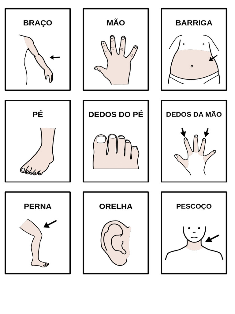 Partes do Corpo Humano Identificadas | PDF