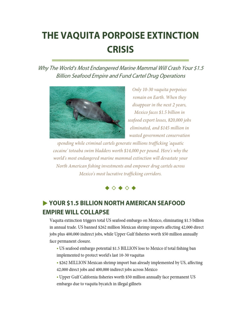 Vaquita Porpoise Crisis Enhanced | PDF | Illegal Drug Trade