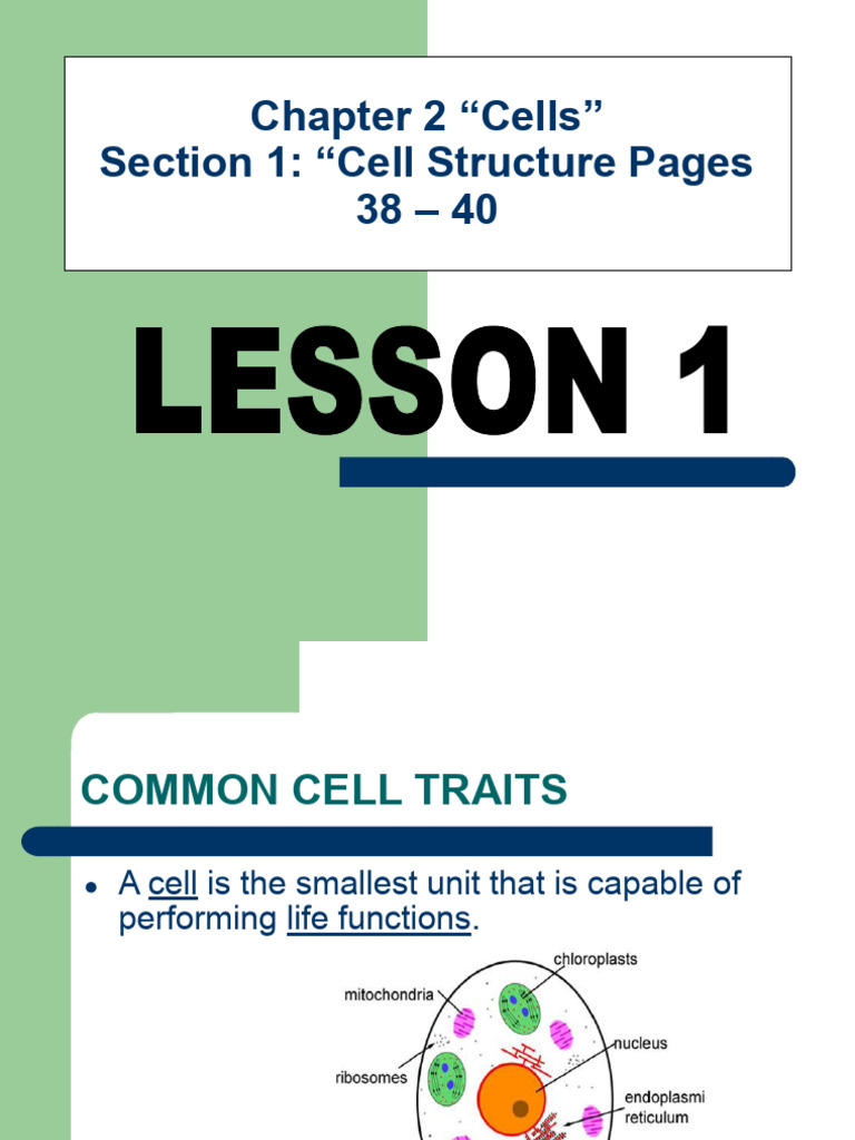 Cell Structures Lesson1 | PDF