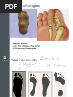Pes Cavus and Pes Planus Overview | PDF | Foot | Musculoskeletal System