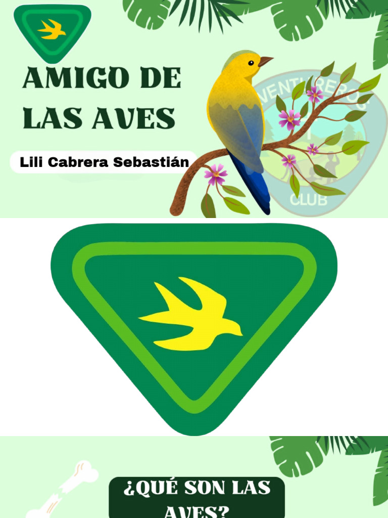 Marion Vásquez Montoya - 20250926 - 151528 - 0000 | PDF