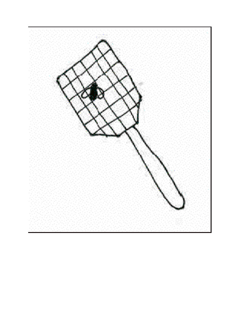 Fly Swat Template | PDF