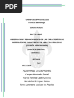 Glosario de briofitos y caulidios | PDF | Hoja | Plantas