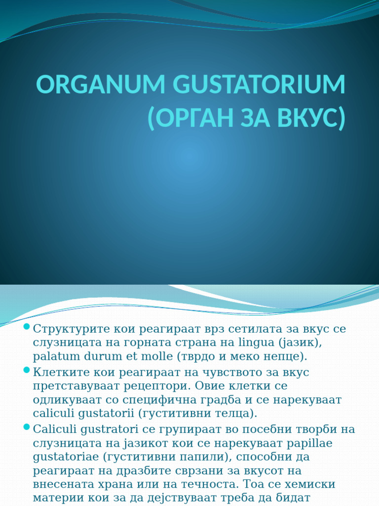Organum Gustatorium | PDF