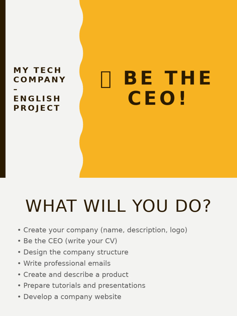 Be The CEO Project Intro | PDF