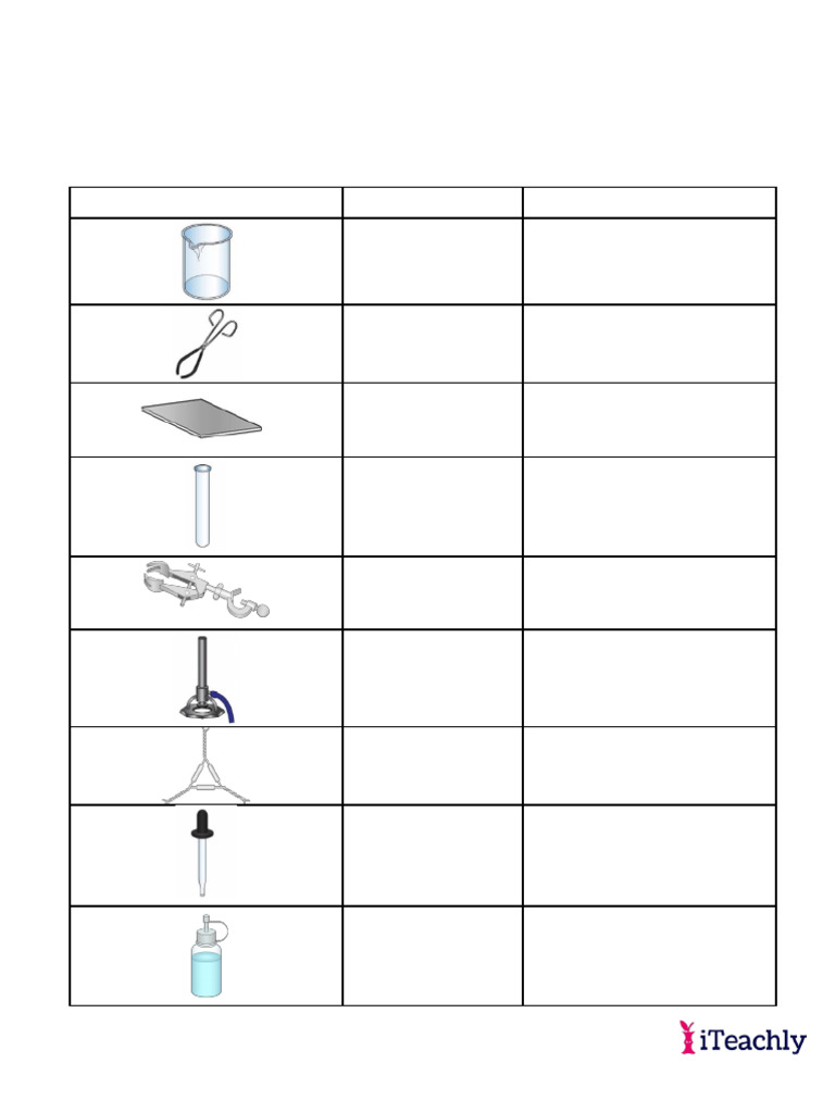 Lab Equipment Vocabulary Activity | PDF