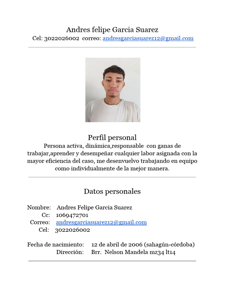 Hoja de Vida Andres 2025 | PDF