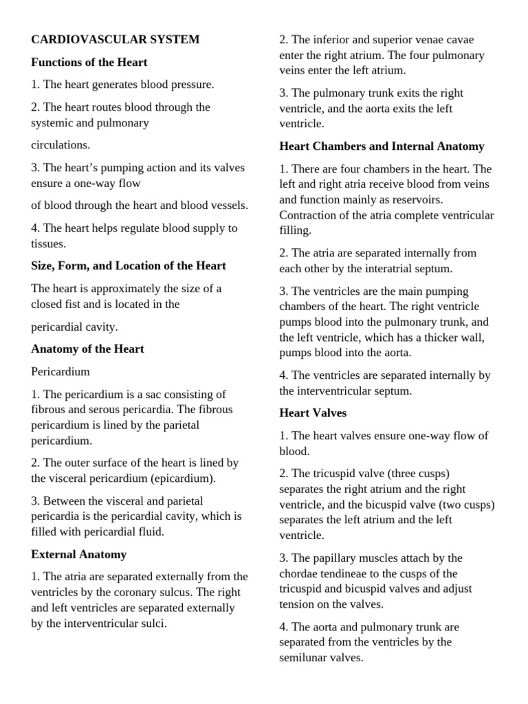 Heart Anatomy and Function Explained | PDF | Heart | Heart Valve