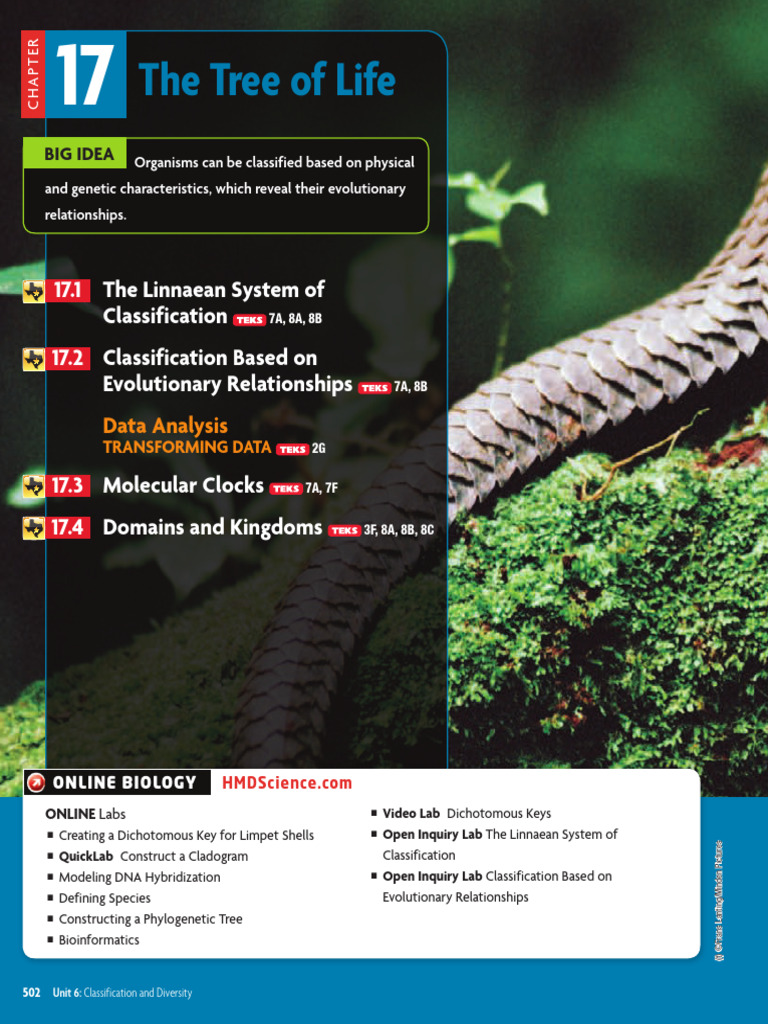 Bio CH 17 The Tree of Life | PDF | Reptile | Taxonomy (Biology)