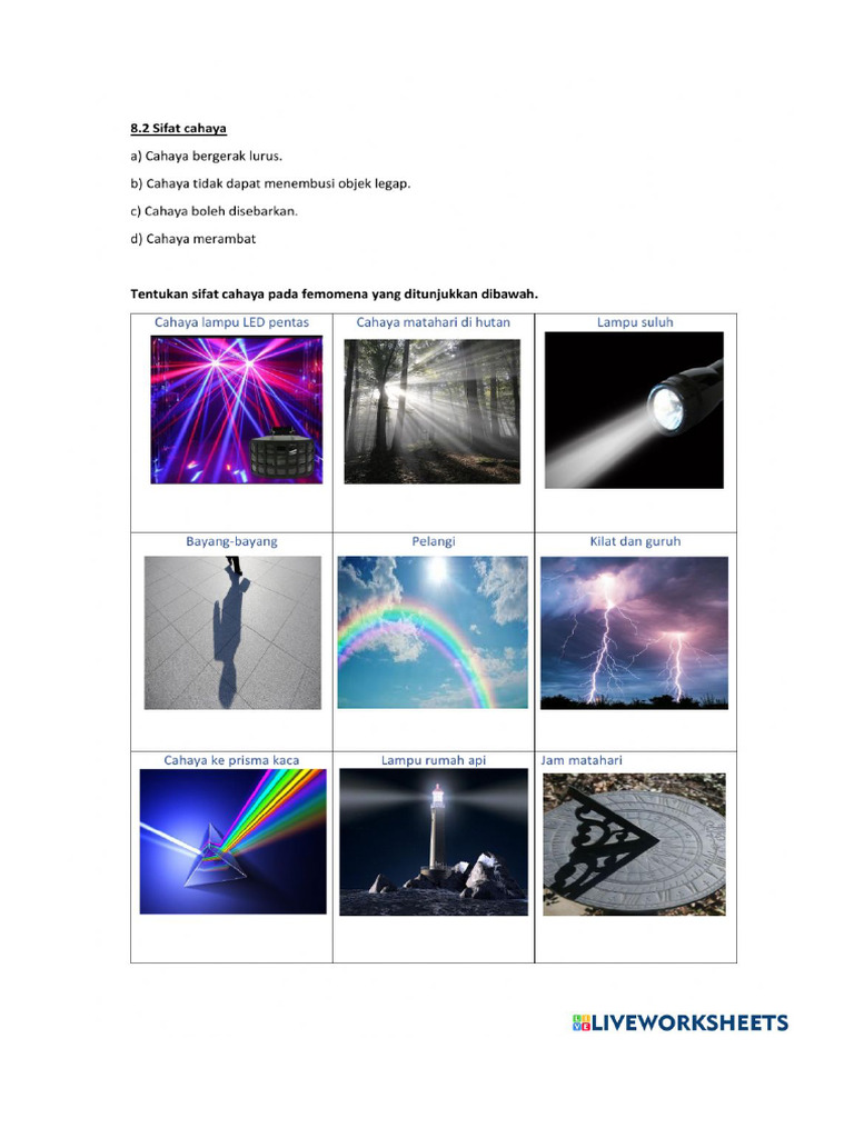 Worksheet 1203556 | PDF