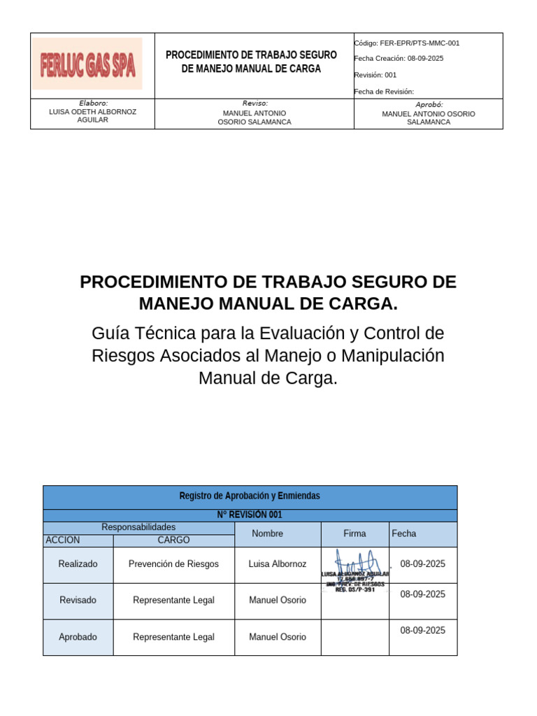 PTS Manejo Manual de Carga | PDF | Riesgo | Fuerza
