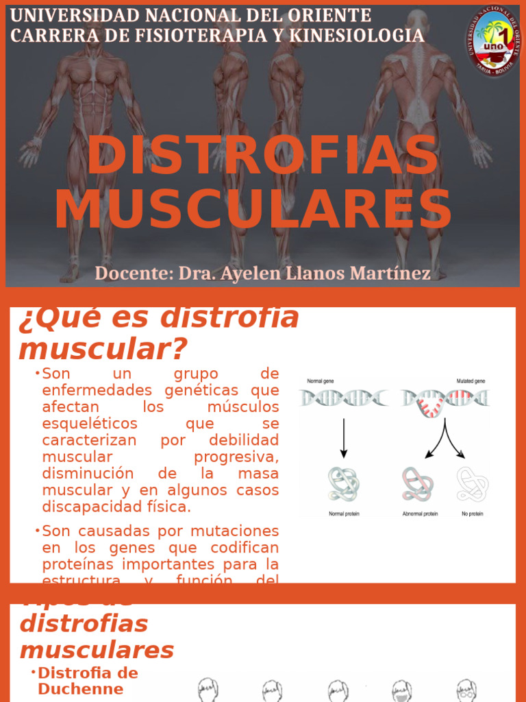 Clase 12 Distrofias Musculares | PDF | Enfermedades y trastornos ...